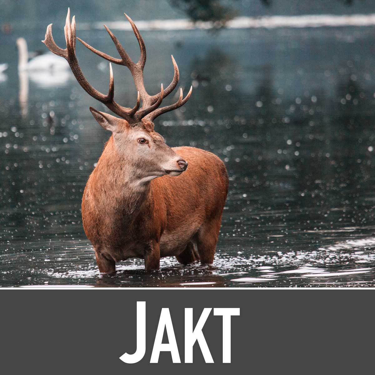 Jakt hos Jakthuset - Av jegere for jegere!
